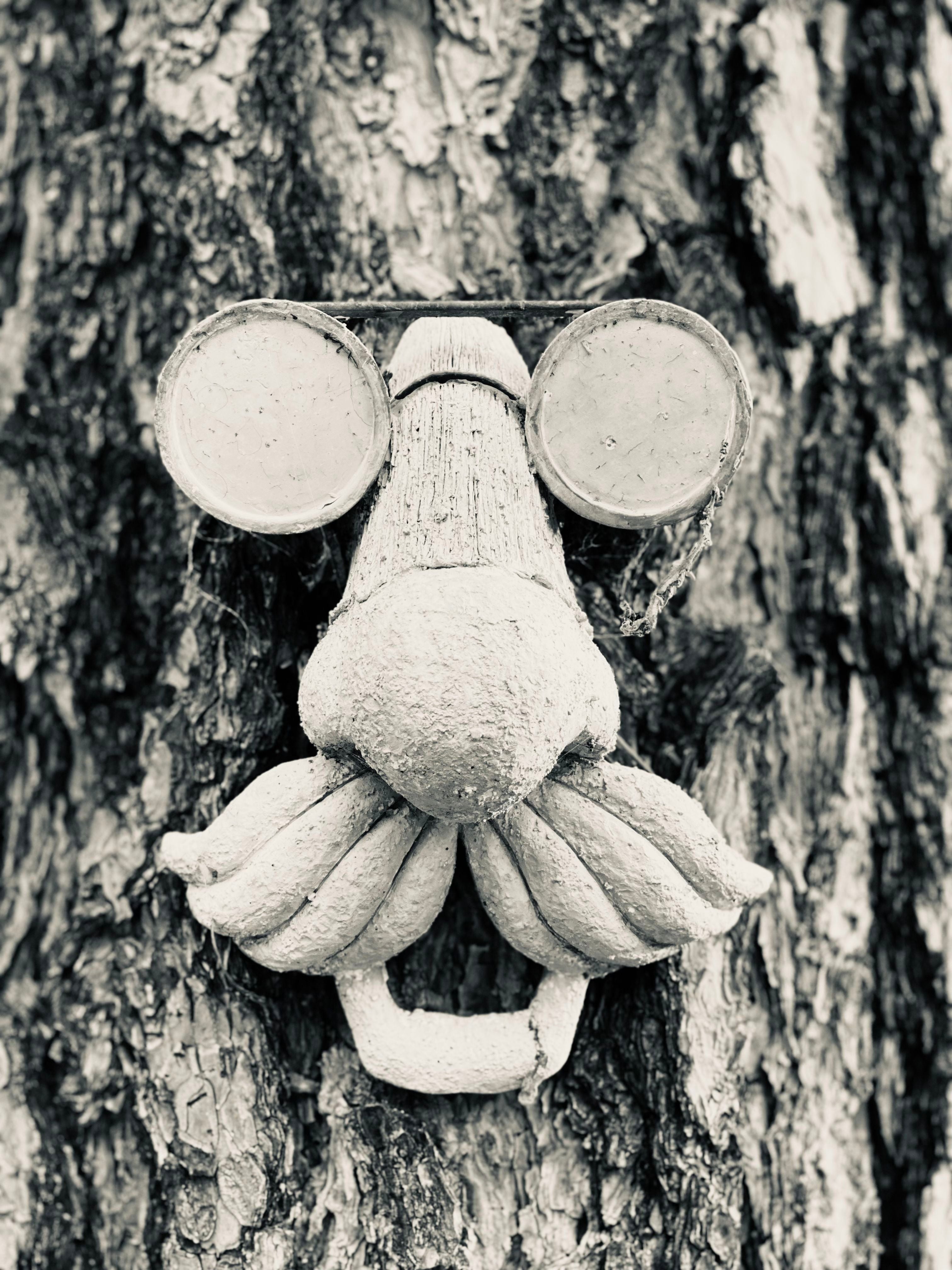 Tree Huggin'